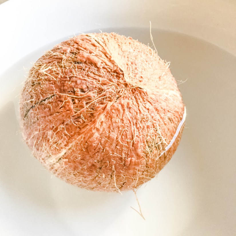 How to Crack a Coconut – Ellie Bleu