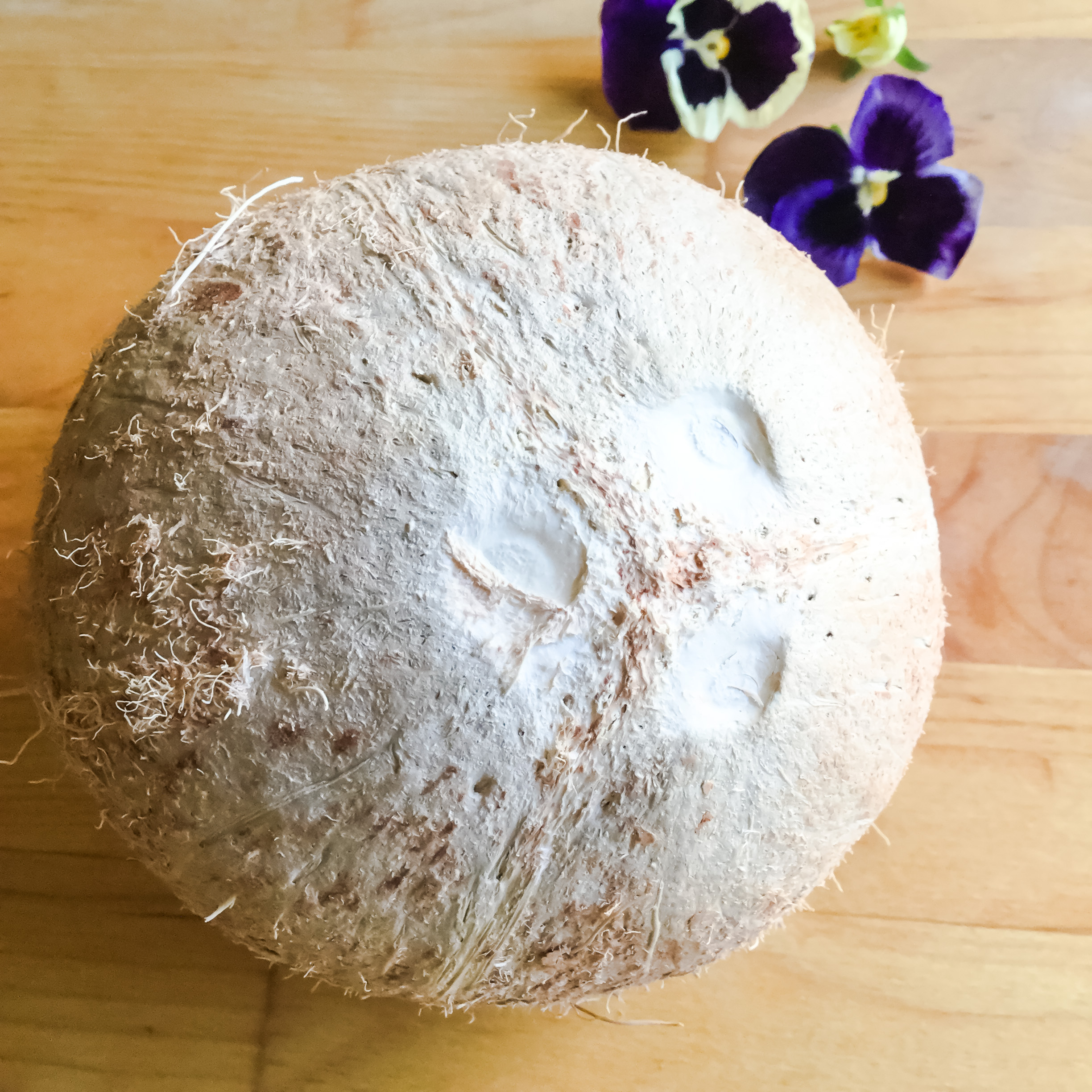 How to Crack a Coconut